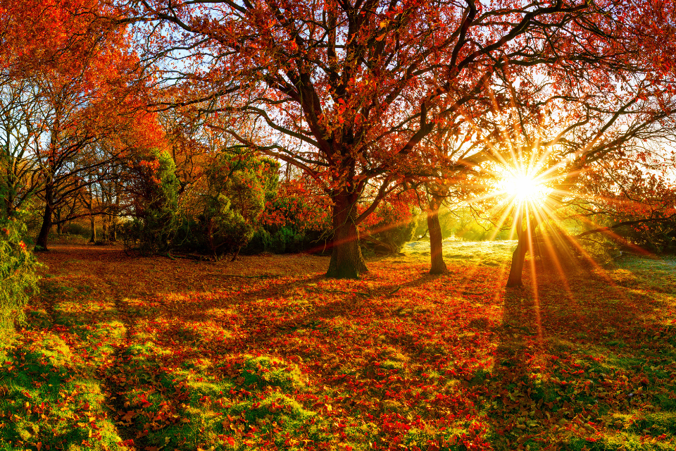 Mabon: The Autumn Equinox – Writual Planner